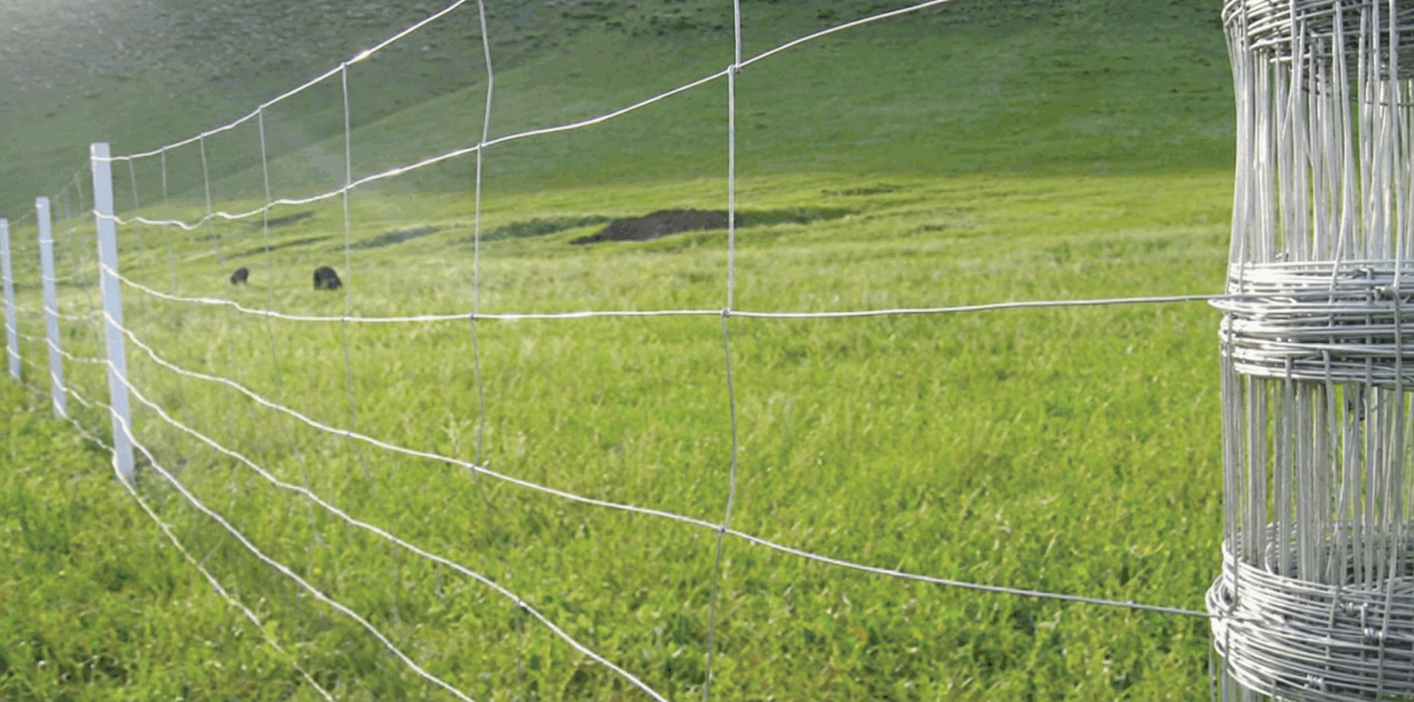 Premium Pagar Cyclone & Farm Fence | Pagar Rusa Pagar Lembu – Kee Maju Jaya